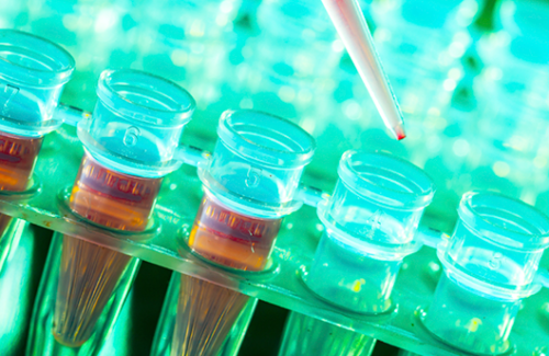 Home - PETA Science Consortium International e.V.