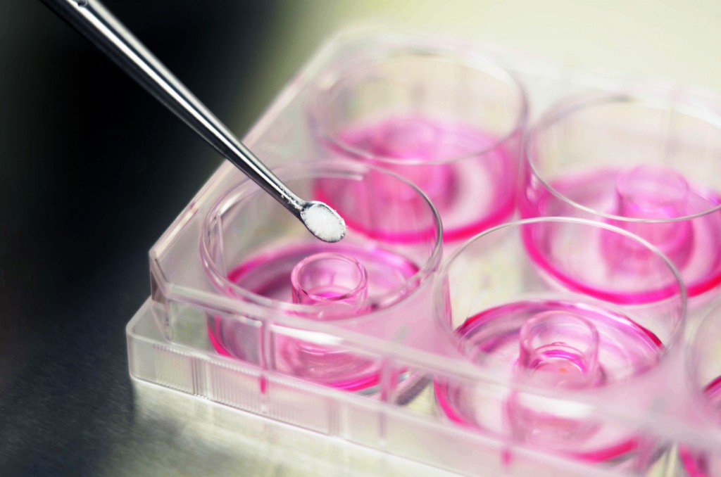 Webinars - PETA Science Consortium International e.V.