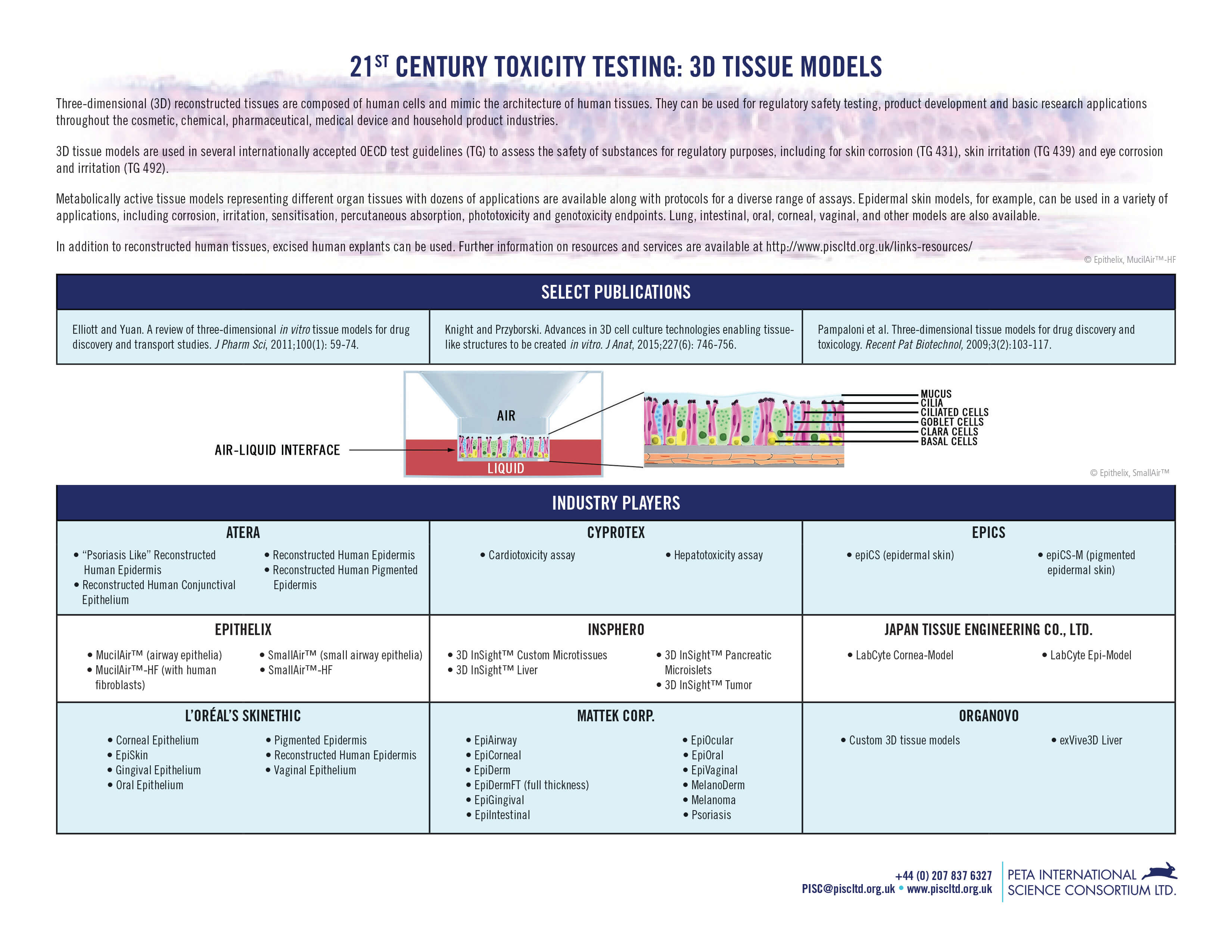 3D Tissue Models - PETA Science Consortium International e.V.