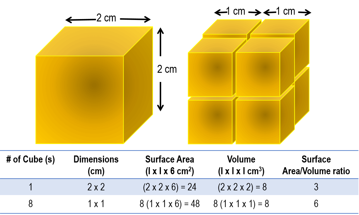 Nanotechnology and Nonanimal Testing Methods - PETA Science Consortium ...