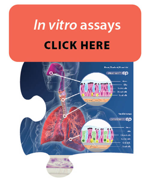 Inhalation Toxicity Testing - PETA Science Consortium International e.V.