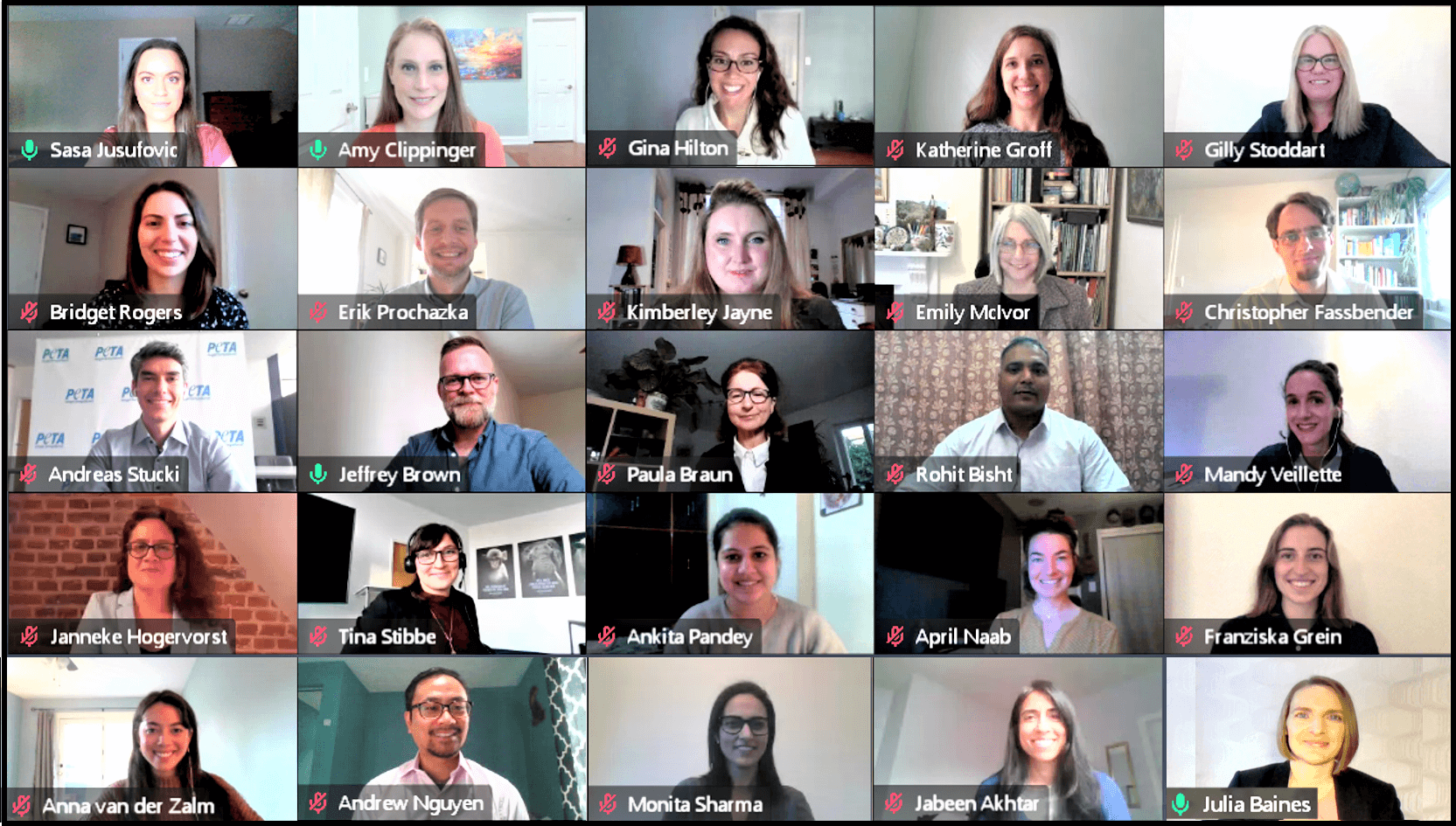 A Look Back at 2021 - PETA Science Consortium International e.V.