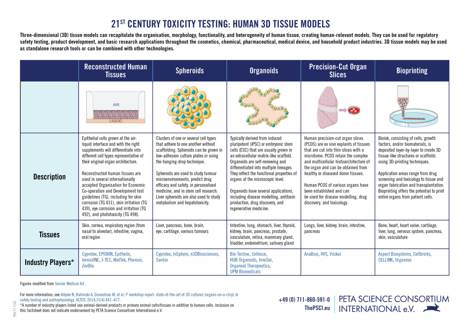3D Tissue Models - PETA Science Consortium International e.V.