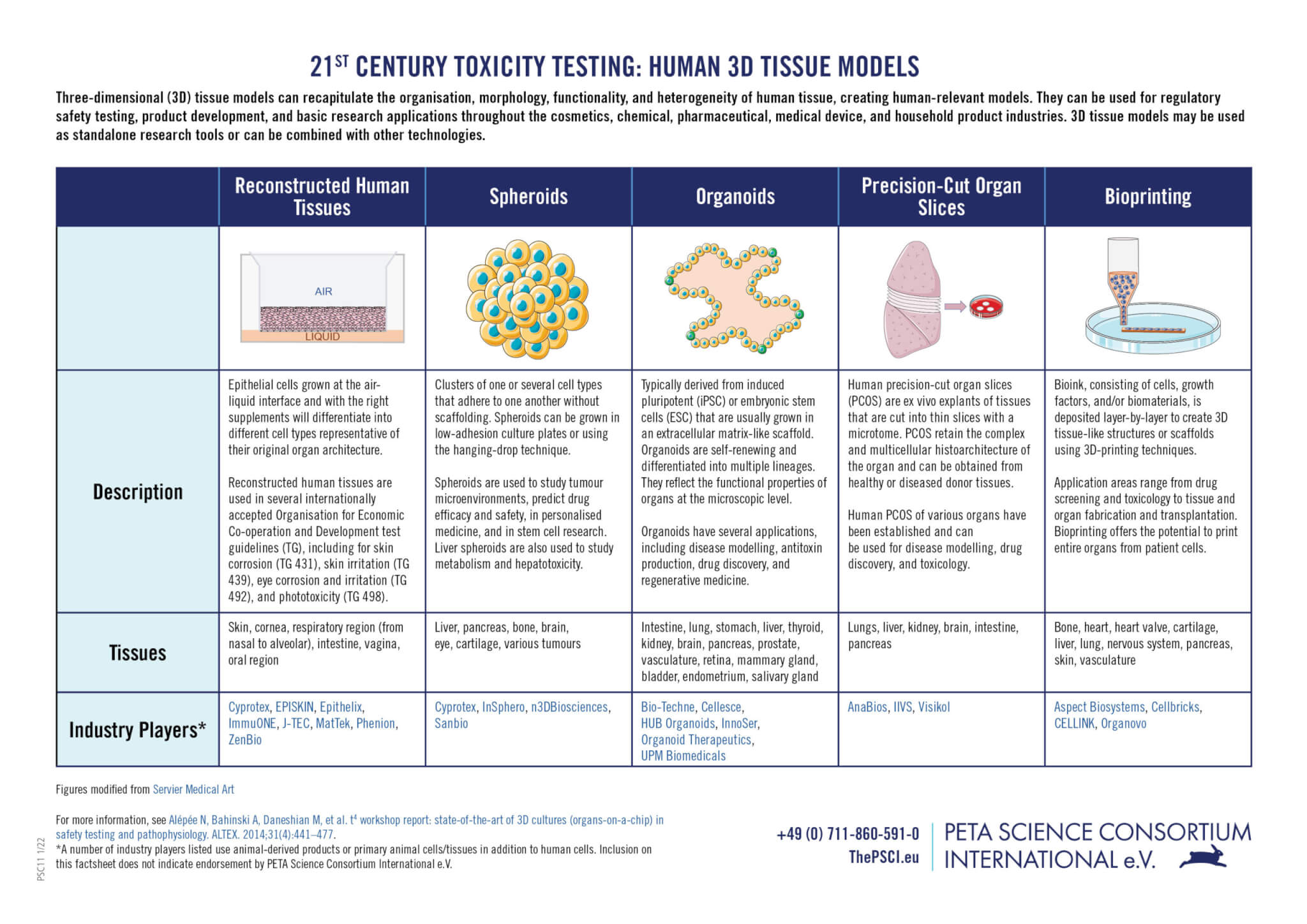3D Tissue Models - PETA Science Consortium International e.V.